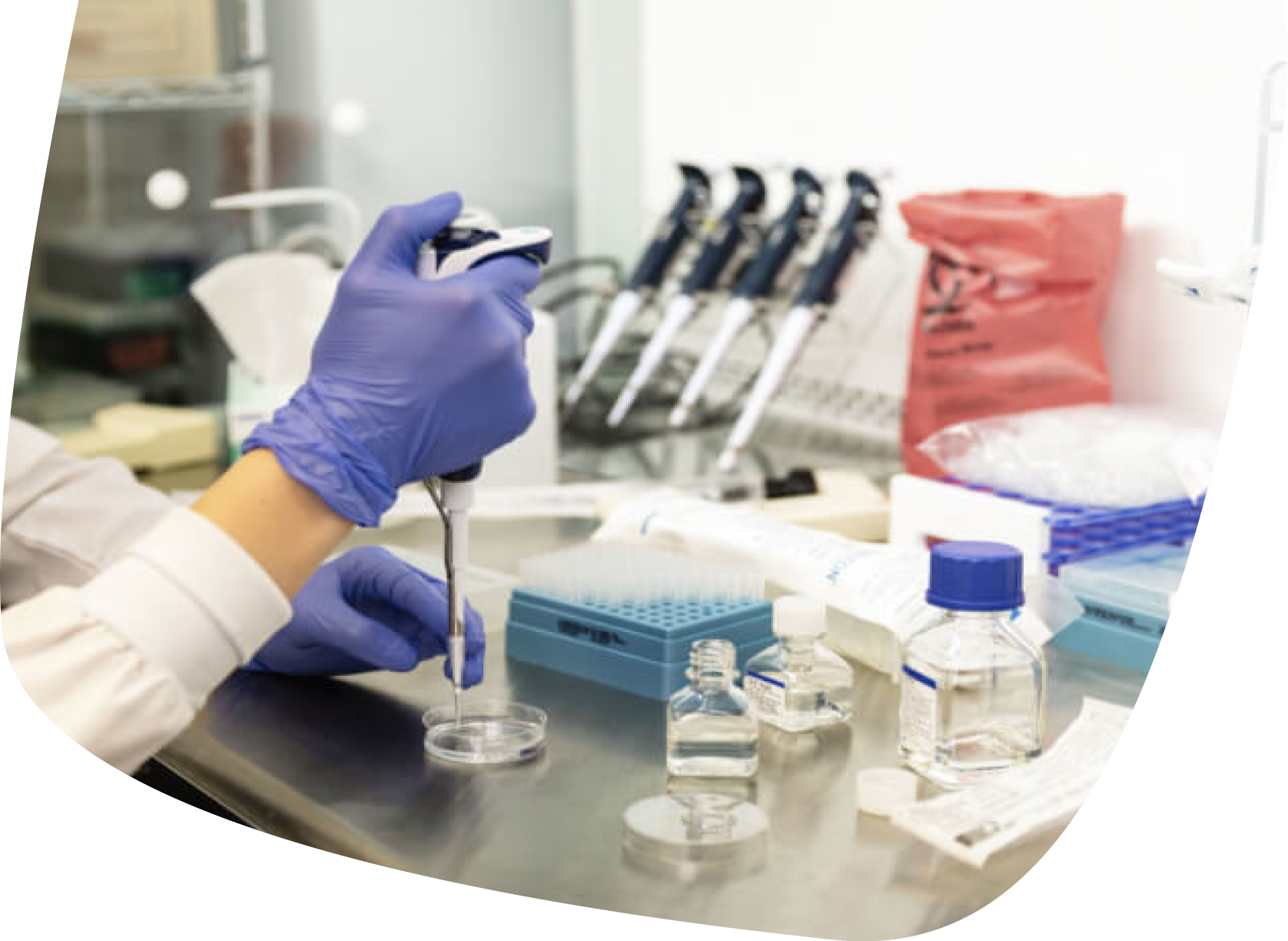 Fertility Success Rates - IVF, IUI, & More | CCRM Fertility